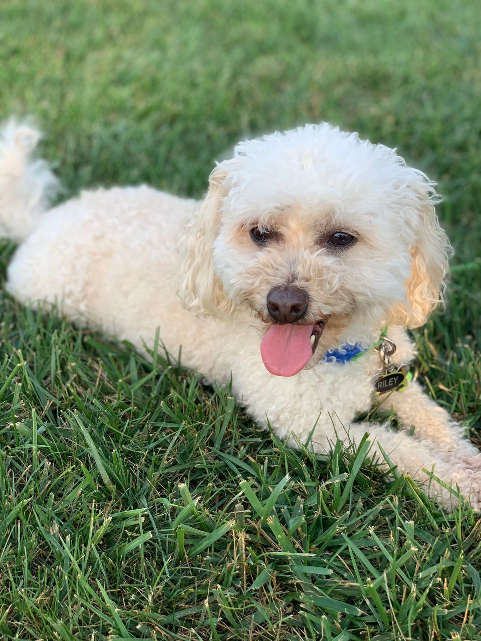 Book Services in Mason, OH with Logan K (LOGAN69818)