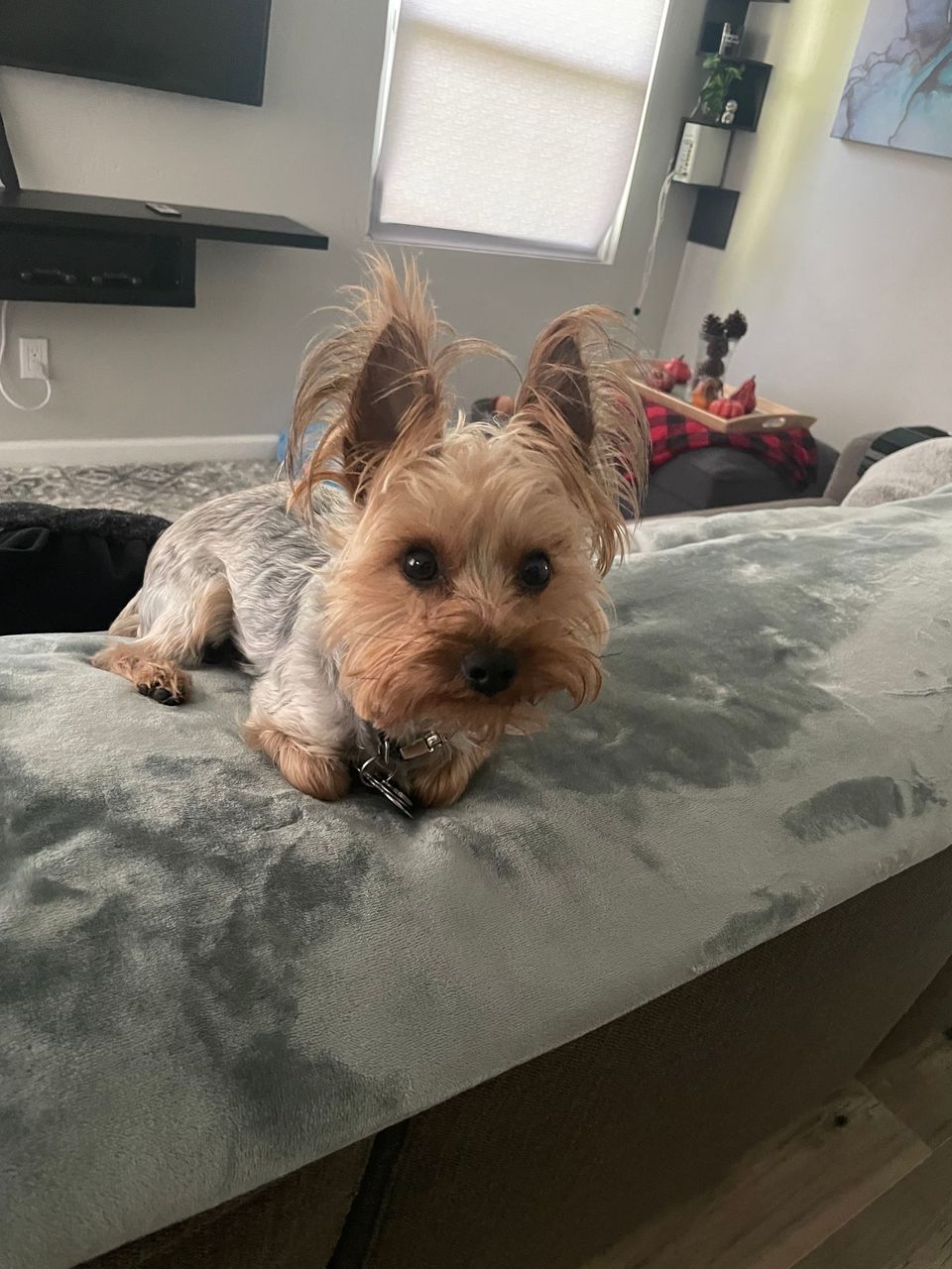 Book Services in San Diego, CA with Kayleb K (KAYLEB28793)